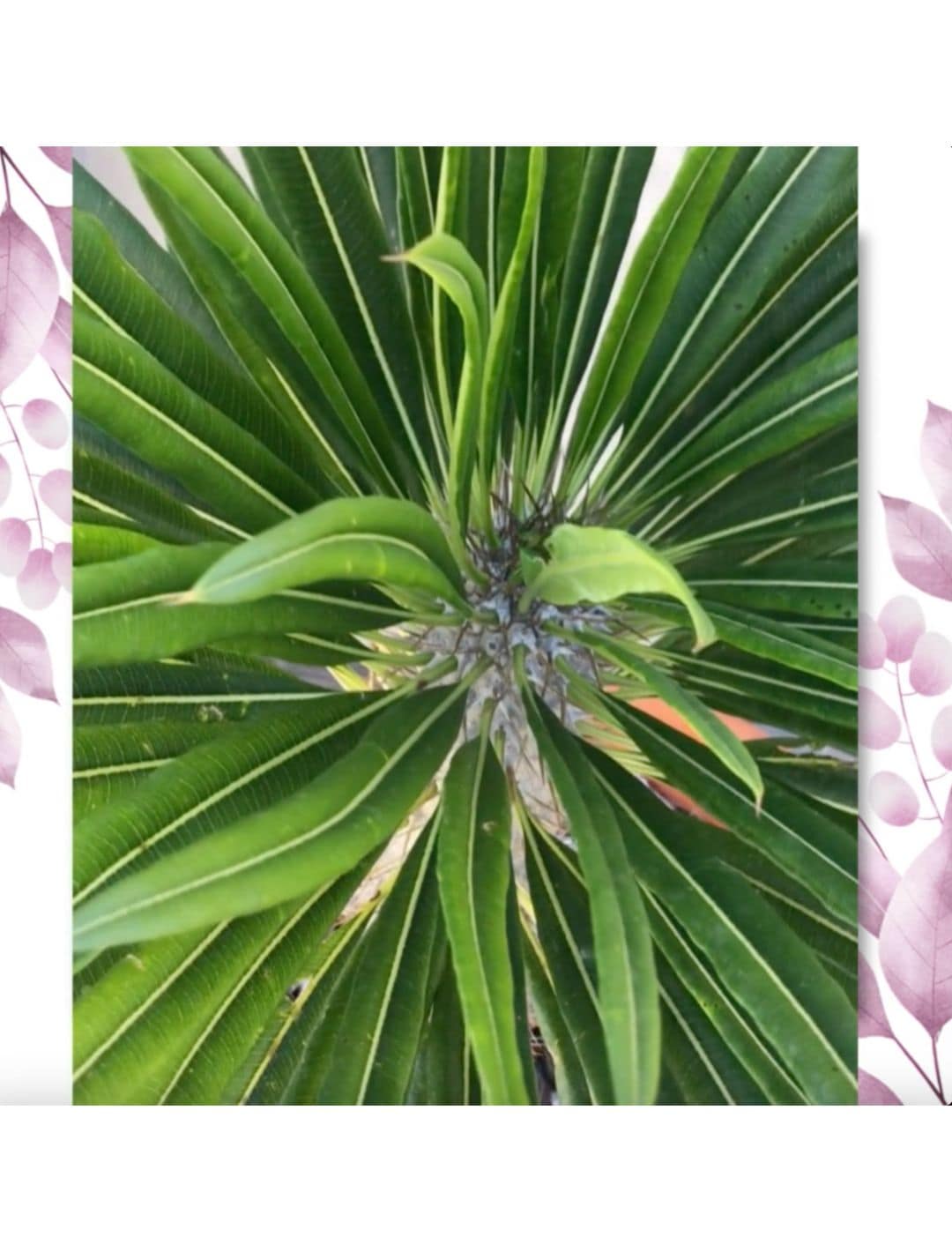 MidStrokes | Chill, Relax, Connect